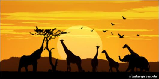 African Animal Sunset Backdrop 2 | Backdrops Beautiful
