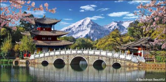 Asian Landscape Backdrop 1 | Backdrops Beautiful