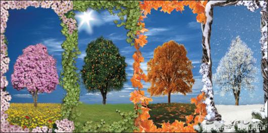 Trees Seasons Panel Backdrop 1 | Backdrops Beautiful