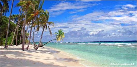Tropical Beach Backdrop 3 | Backdrops Beautiful