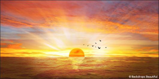 Sunset Sky Backdrop 3 | Backdrops Beautiful